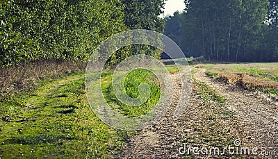 Two Different Roads Stock Photo - Image: 62383057