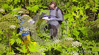 Two Ecologists Going To the Point of Research Stock Video - Video of ...