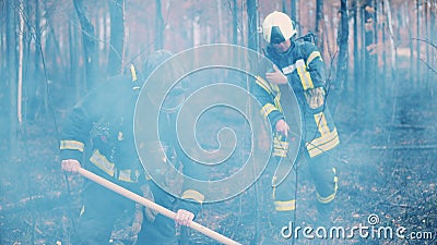 Two Firefighters are Working in the Forest Fire Area Stock Footage ...