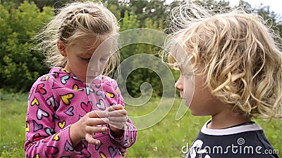 Two funny kids are playing stock video. Video of person - 76778197