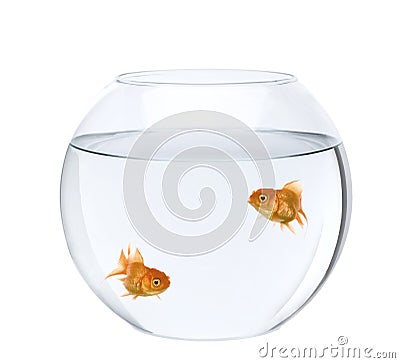 Two Goldfish Swimming In Fish Bowl Stock Photos - Image: 11785263