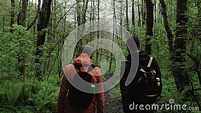 Two Hikers are Walking on Path in Forest in Cold Day Stock Video ...