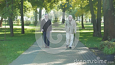 Two Old Upset Men Walking in Park and Talking about Life, Problems in ...