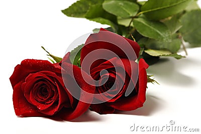 Two Red Roses 2 Royalty Free Stock Photography - Image: 1973147