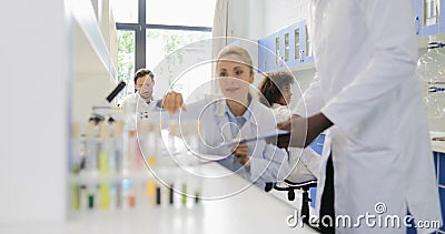 Two Scientists Discussing Results of Experiment Holding Test Tubes with ...