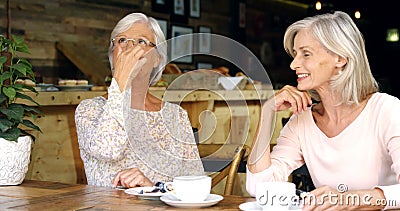 Senior Women Talking To Each Other in Cafe 4k Stock Video - Video of ...