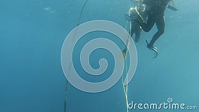 Rope and scuba diver stock video. Video of background - 99365027