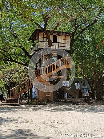 Two Story Summer Tree House Editorial Photo | CartoonDealer.com #181750845