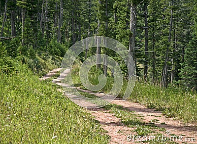 Two-track Narrow Dirt Road Royalty Free Stock Photos - Image: 13331458