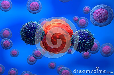 3d Illustration CAR T-cell Attack Cancer Cell And Healthy Cells Royalty ...