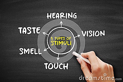 The 5 Types Of External Stimuli - Divided Into Our Senses: Touch ...