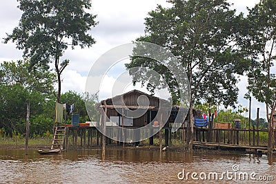 Typical Amazon Home - Stock Image - Everypixel