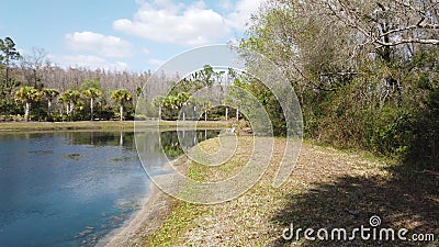 A Beautiful Florida Community Pond Stock Video - Video of background ...