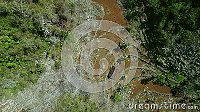 Small Valley Top Down Aerial Footage View of Karst Topography Stock ...