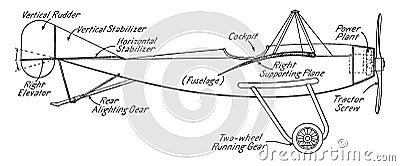 Typical Monoplane, Vintage Illustration Cartoon Vector | CartoonDealer ...