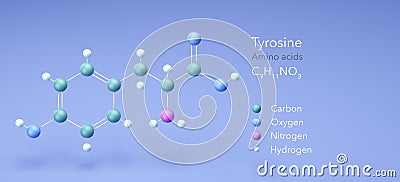 Tyrosine, Molecular Structures, Amino Acid, 3d Model, Structural ...