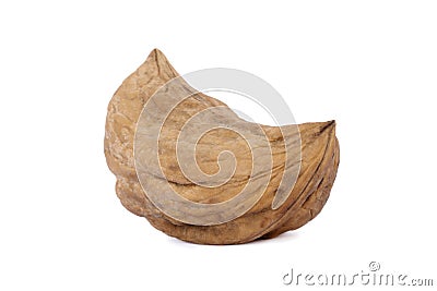 Ugly Walnut Is Isolated On White Background. Different Angles Stock ...
