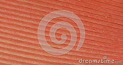 Under the Magnifying Glass You Can See the Enlarged Feather Stock Video ...