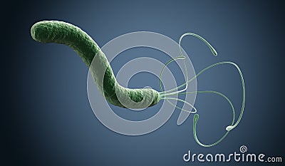 Under The Microscope, Helicobacter Bacterium Stock Image ...