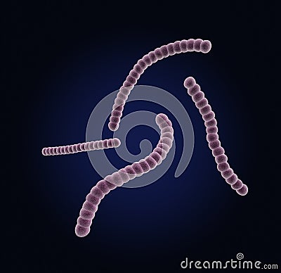 Under The Microscope, Streptococcus Stock Illustration - Image: 66250168