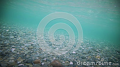 Underwater Clear River Bottom Stock Video - Video of algae, natural ...