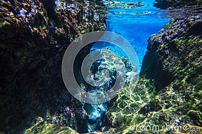 Underwater Gate Stock Photography | CartoonDealer.com #99616490