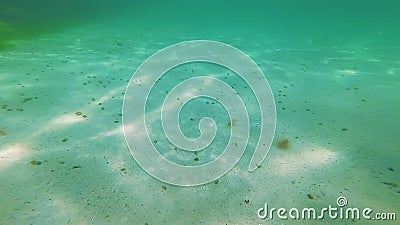 Underwater Landscape, Sun Glare on the Sandy Seabed in the Sandy Stock ...