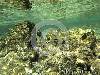 Underwater Rocks Royalty Free Stock Photos - Image: 11327148