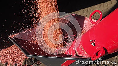 Unloading Grain from the Tractor Trailer in Silo Stock Video - Video of ...