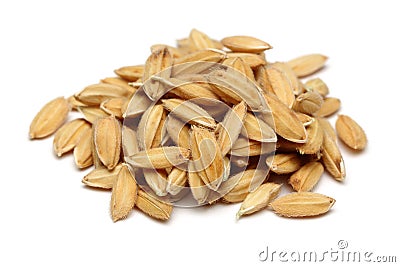Unmilled Rice Grains Royalty-Free Stock Image | CartoonDealer.com #37613980