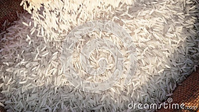 Unprocessed Rice Being Poured from a Man S Hands. Stock Video - Video ...