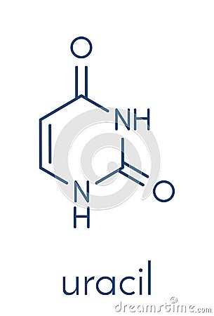 Uracil U Nucleobase Molecule. Present In Ribonucleic Acid RNA. Skeletal ...
