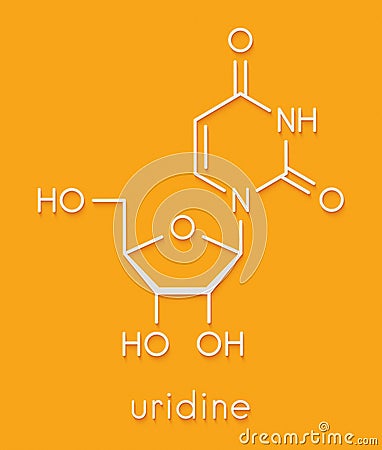 Uridine Nucleoside Molecule. Building Block Of RNA. Skeletal Formula ...