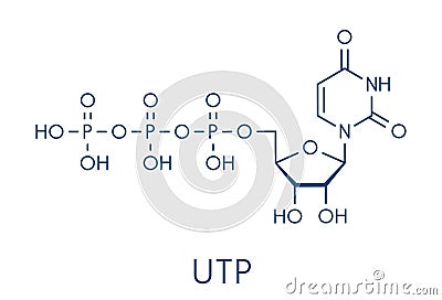 Uridine Triphosphate UTP Nucleotide Molecule. Building Block Of RNA ...