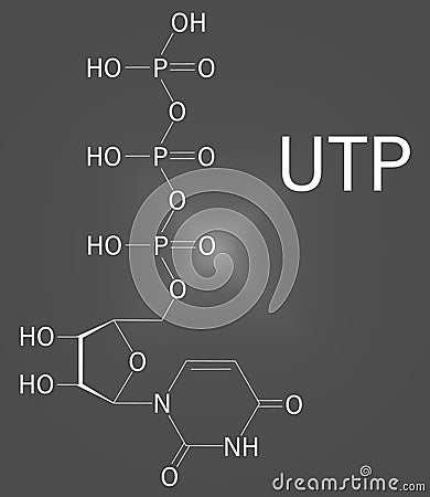Uridine Triphosphate Or UTP Nucleotide Molecule. Building Block Of RNA ...