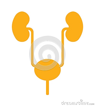 Yellow Silhouette Of Human Urinary System Cartoon Vector ...