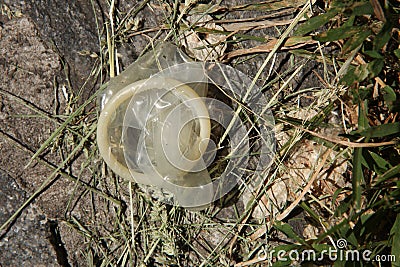 Used Condom In A Grass Ground Stock Photo - Image: 52783373