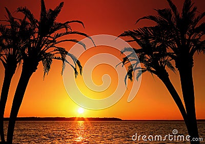 Vacation In Paradise Stock Image - Image: 17801711