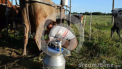 Vache à Machine De Lait De Femme Clips Vidéos - Vidéo du animal ...