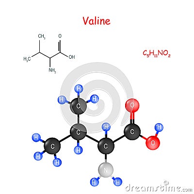 Valine Is An Essential Amino Acid. Chemical Structural Formula And ...