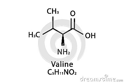 Valine Molecular Structure. Valine Skeletal Chemical Formula. Chemical ...