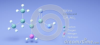 Valine, Molecular Structures, Amino Acid, 3d Model, Structural Chemical ...