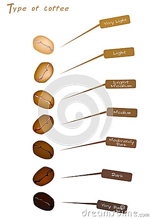 The Various Colors Of Roasted Coffee Beans Stock Image - Image: 33187151