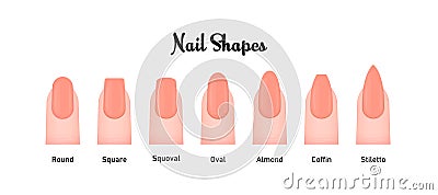 Various Nail Shapes Vector Illustration Set | CartoonDealer.com #226149094