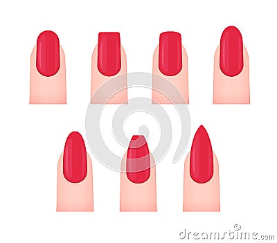 Various Nail Shapes Vector Illustration Set | CartoonDealer.com #226149120