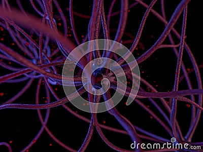 Vascular Plant Fine Roots Looking Like A Neural Network. 3D Stock Photo ...