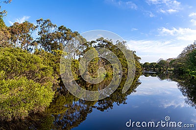 Vasse-Wonnerup Wetlands, The Lower Vasse River Is Made Up Of The Vasse ...