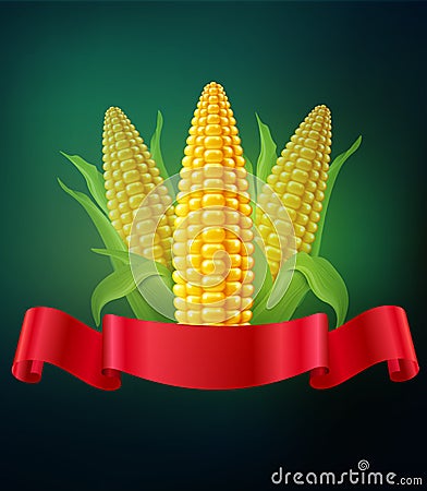 Vector Background With Cobs Of Corn And Red Ribbon | CartoonDealer.com ...