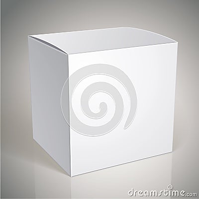 Vector Blank Box, Template For Your Package Design, Put Your Ima ...