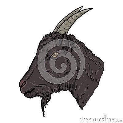 Vector Cartoon Goat Head. Side View | CartoonDealer.com #173737846
